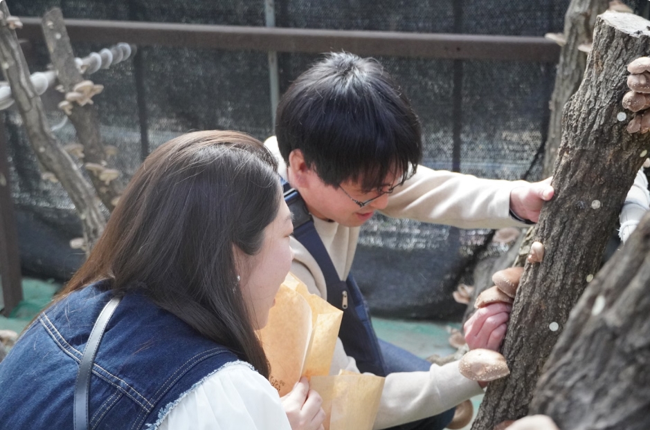 淡路島の秘境「竹原集落」の大自然の中で育まれた『原木椎茸』に舌鼓。目の前に広がる日本の原風景に情緒を感じる、しいたけ狩り体験 | 兵庫の体験 WEB販売サイト | Localprime