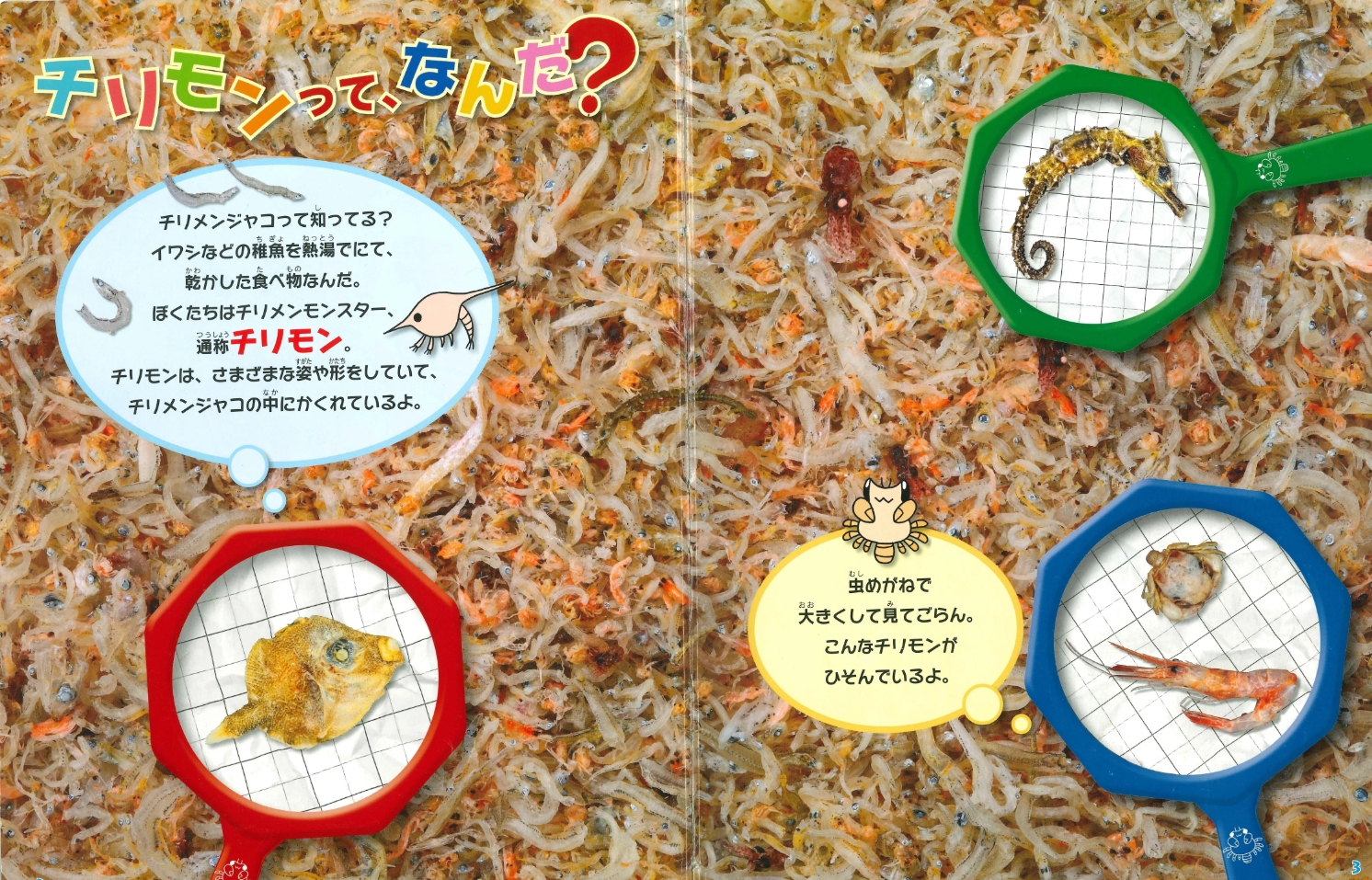 釜揚げシラス丼付き（シラス盛り放題！）＆さの小校長先生のシラス授業付き】目前に広がる豊饒な海は日本一のシラスの産地。鮮度抜群のシラスを加工した「ちりめんじゃこ」の中に息をひそめて隠れている ...