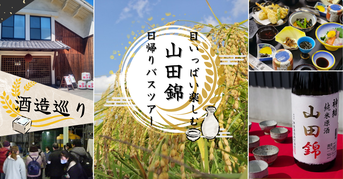 目いっぱい楽しむ山田錦 ～自分だけの酒器作りと酒造巡りツアー～ | 兵庫の体験 WEB販売サイト | Localprime