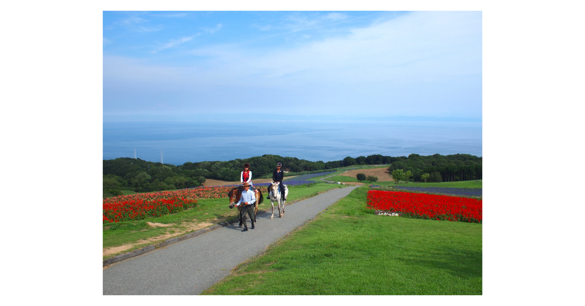 馬にのって散歩に出かけよう！ 花さじきトレックコース | 兵庫の体験 WEB販売サイト | Localprime